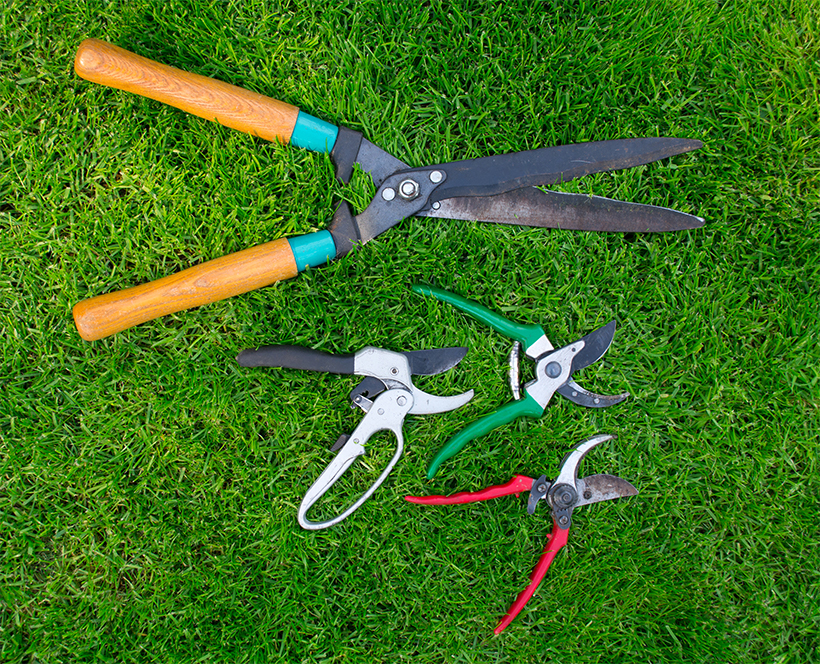 Garden Tool Essentials | Gardening | BUCO | Buco Hardware and Buildware